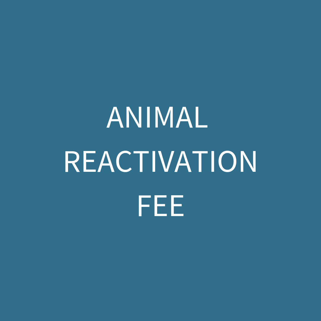 Animal Reactivation Fee – Australian Lowline Cattle Association Shop